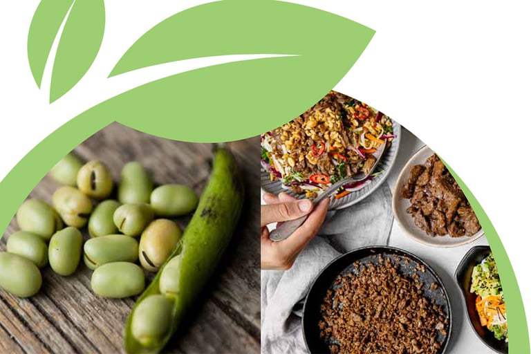 EN - Frontpage - Raisio Food Solutions