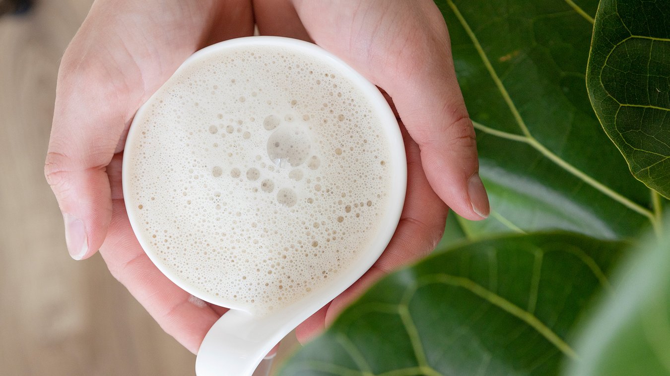 Plant-based drinks from a new Finnish food factory